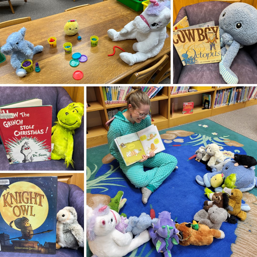 Litchfield Public Library