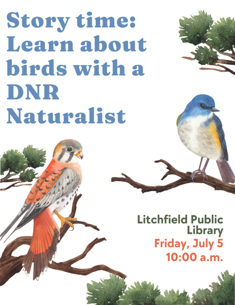 Litchfield Public Library